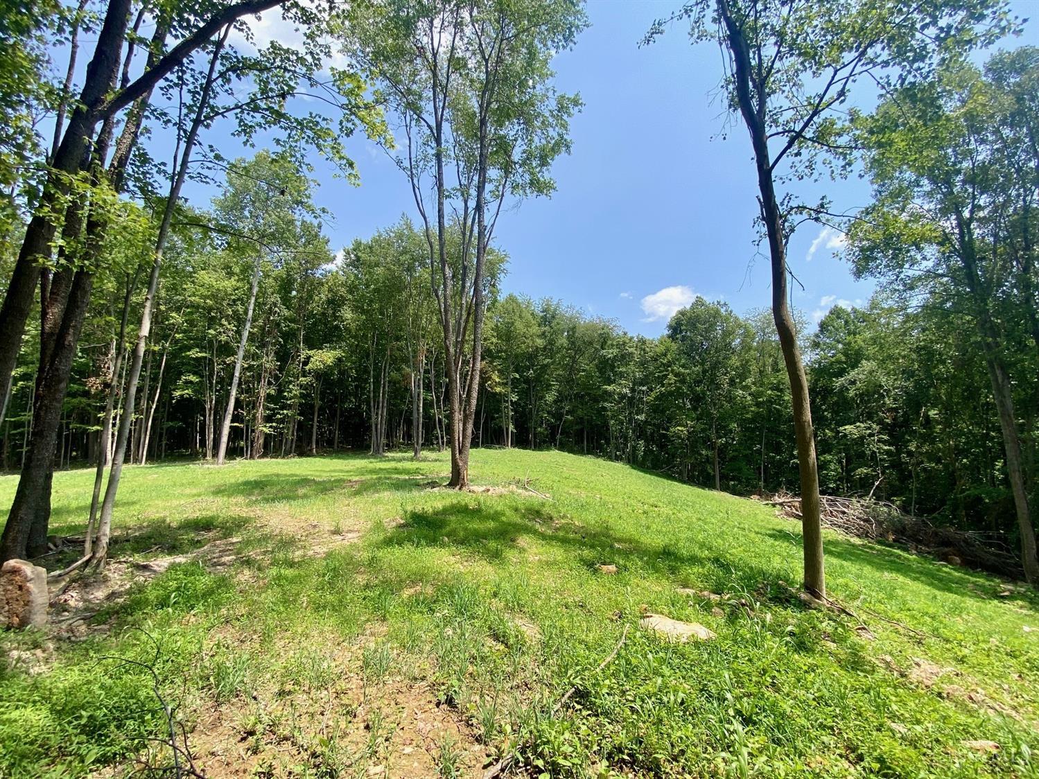 Land for sale in Peebles, Ohio, 1791489